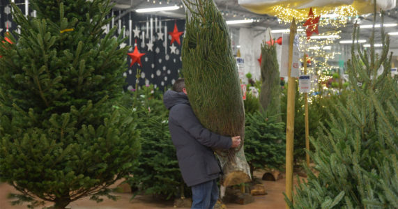 Bucks County Workers’ Compensation Lawyers | Christmas Tree Worker